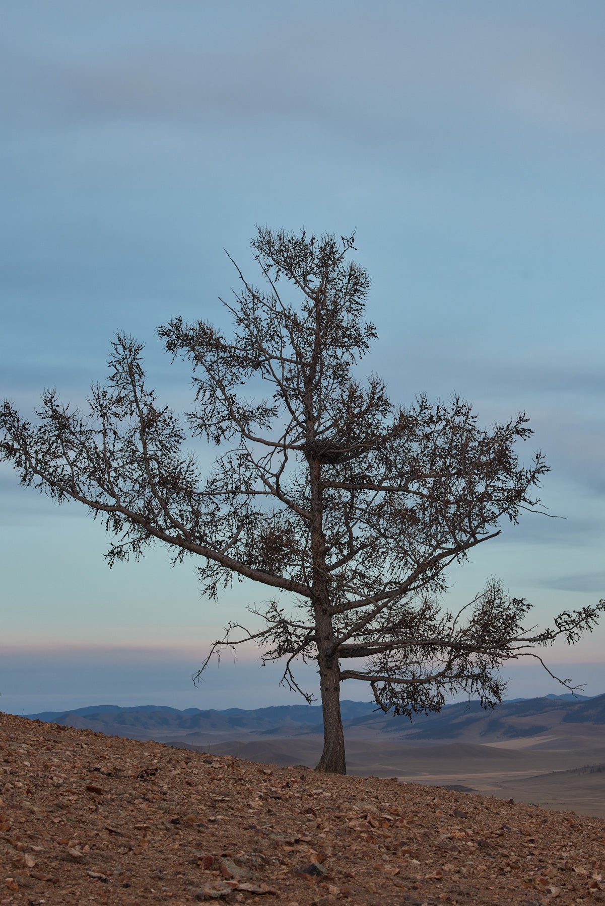 Earth Day 2023 – Gobi Cashmere Europe GmbH